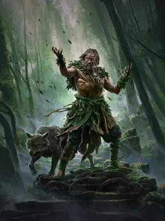 Wyvern Druid Leveling Build
